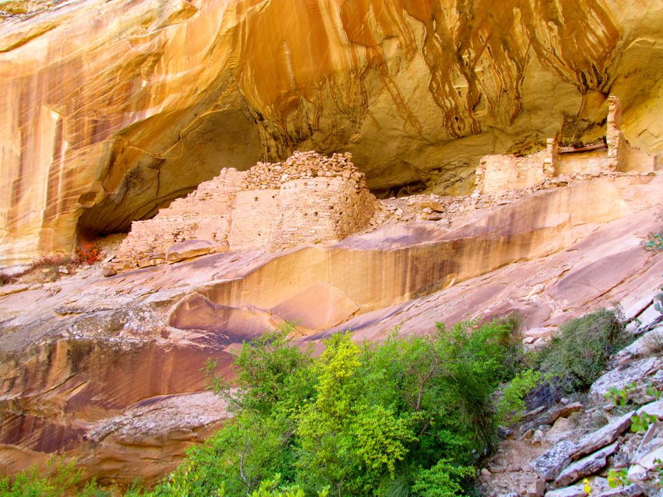 Exploring Cedar Mesa | Raven and Chickadee