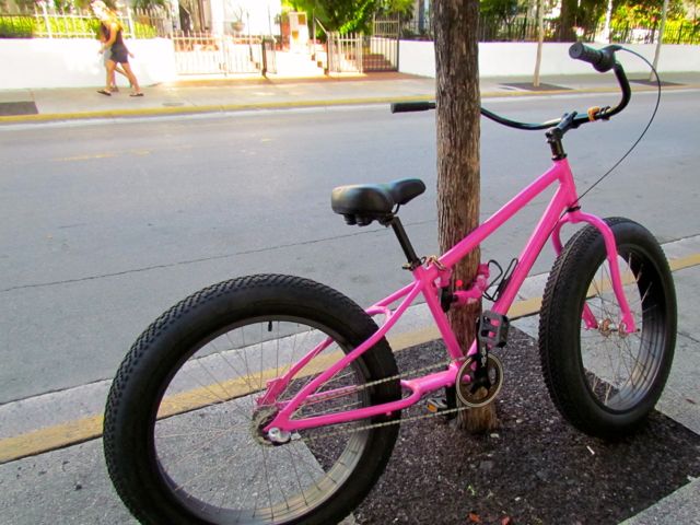 Raven & Chickadee | Key West, Of Course!