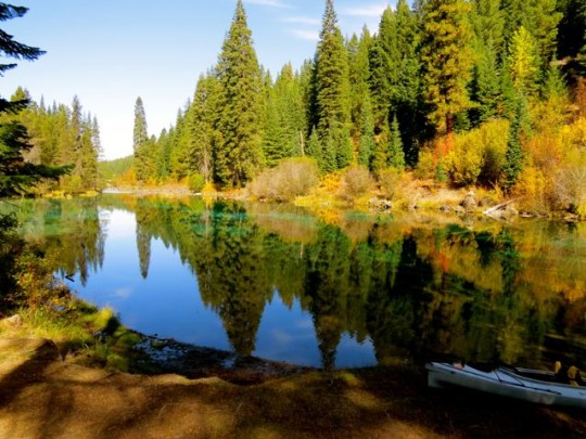 Kayaking The Wood River | Raven and Chickadee