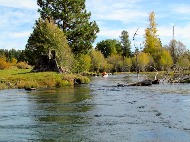 Raven & Chickadee | Kayaking The Wood River: Southern Oregon