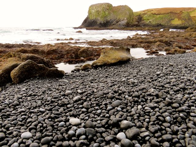 Raven & Chickadee | Winter On The Coast: Newport, OR
