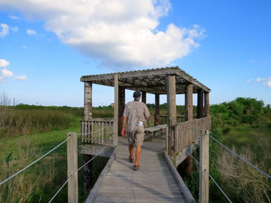 A Birder’s Paradise: High Island, TX | Raven and Chickadee