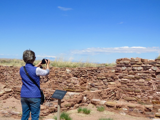 Raven & Chickadee | A Stroll Through The Petrified Forest (And Homolovi ...