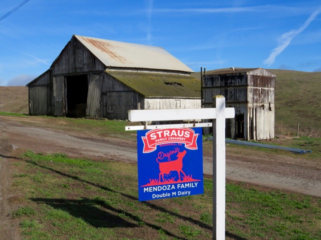 Raven & Chickadee | Heading Cross Country...Again