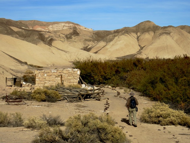 Raven & Chickadee | Beautiful And Desolate Death Valley National Park