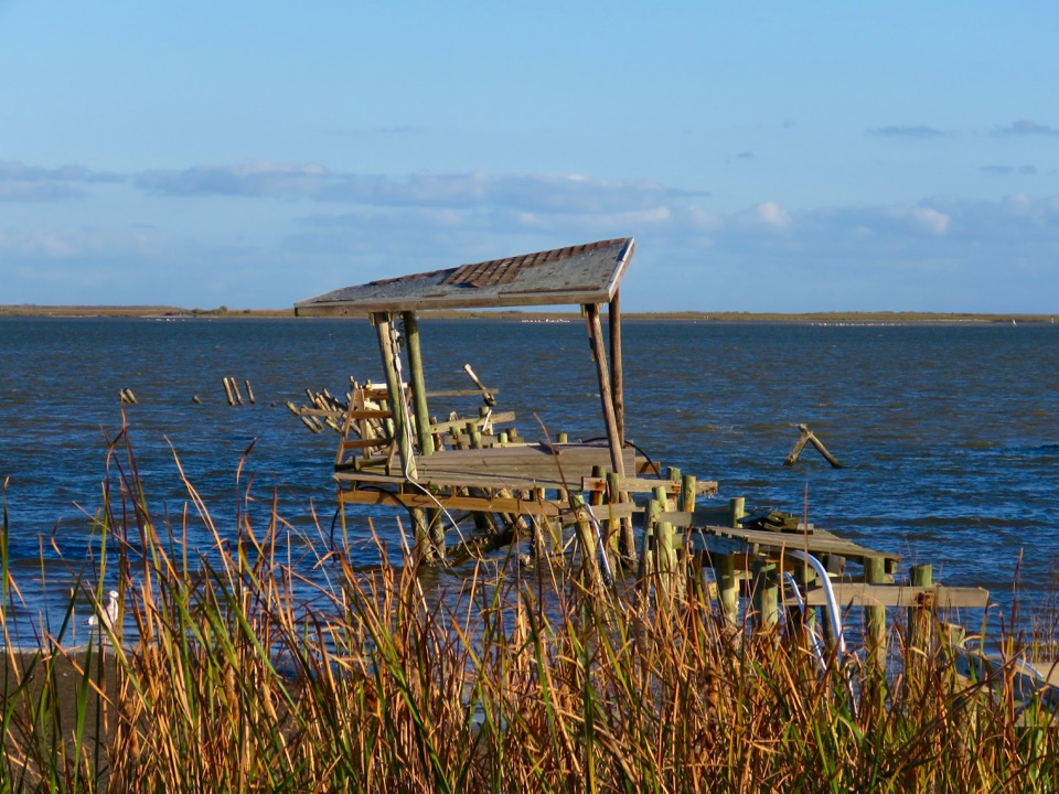 Raven & Chickadee | The Texas Gulf Coast: Rockport & Galveston