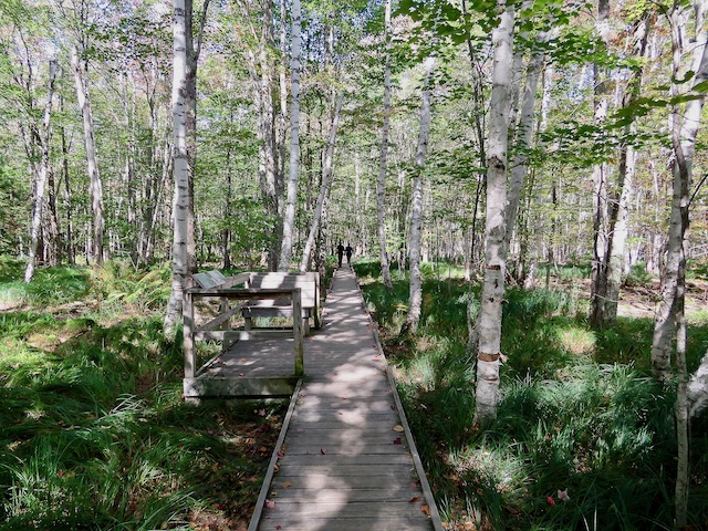 Raven & Chickadee | The Magic Of Acadia National Park